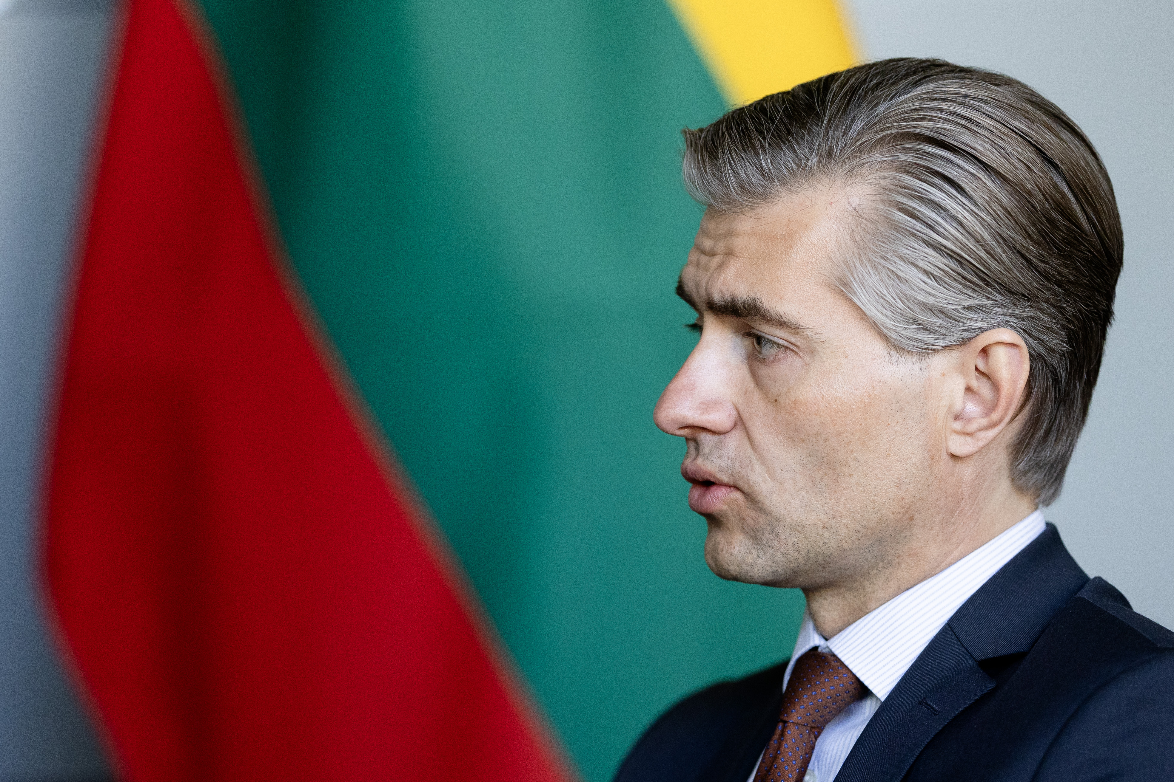 Budrys: Europa turi pasiruošti galimiems JAV muitams Rusijos sąjungininkėms