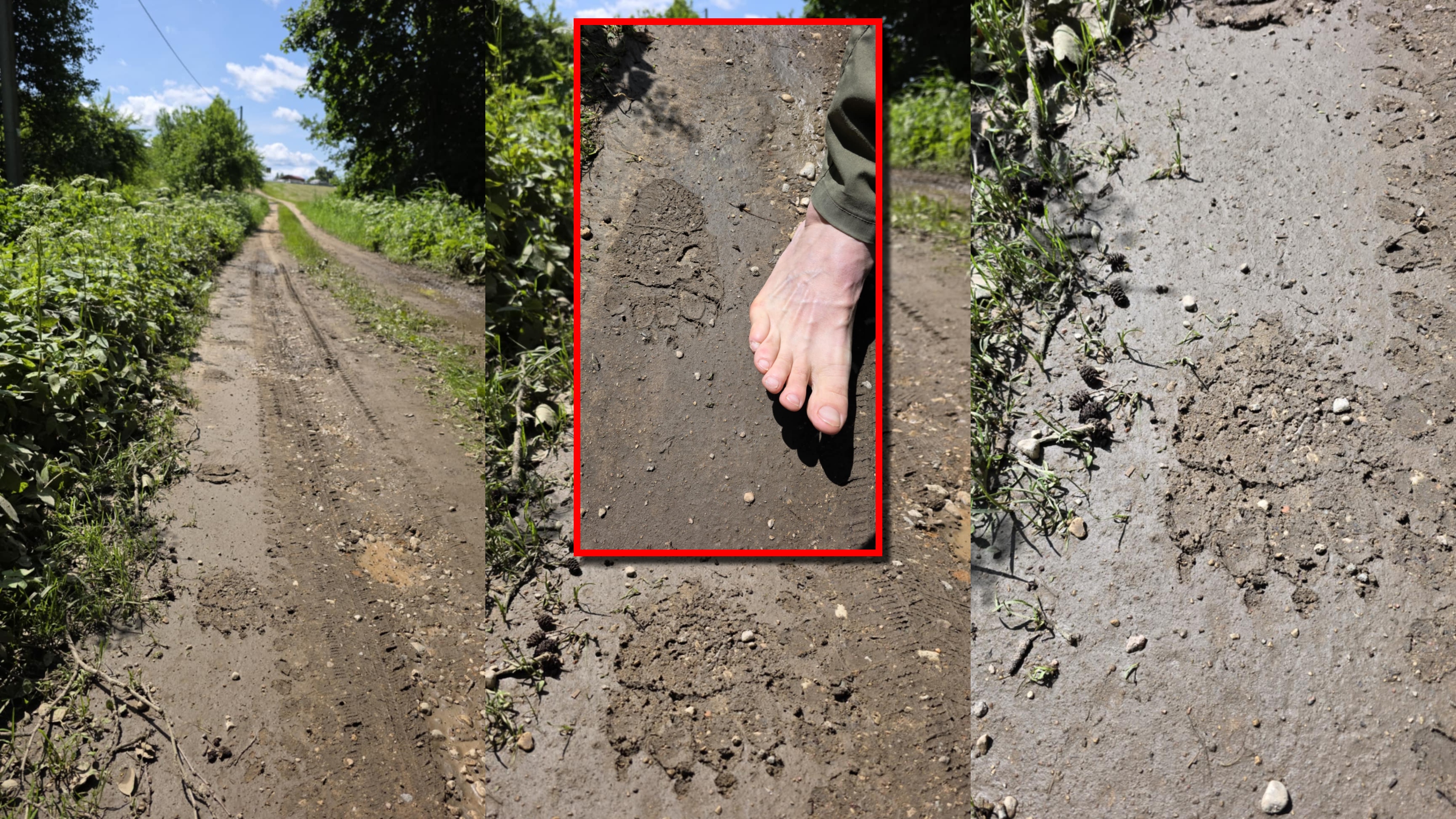 Lietuvoje užfiksavo lokio letenos įspaudą: šalia – mano koja, 46 batų dydis