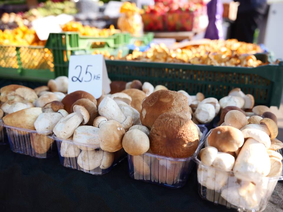 Baravykai turguje: gražūs, bet miške – reti laimikiai