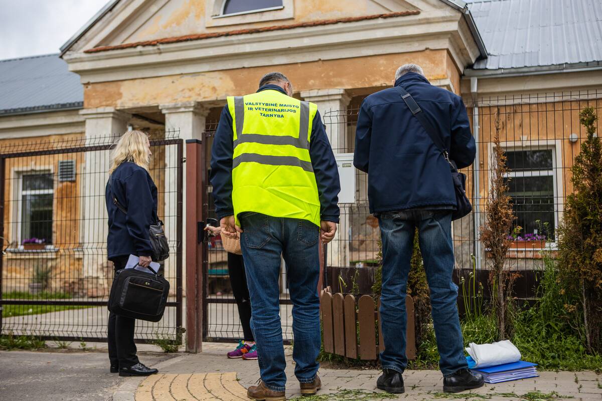 Naujausia žinia apie iš „Penktos kojos“ paimtus šunis: koks bus jų likimas?