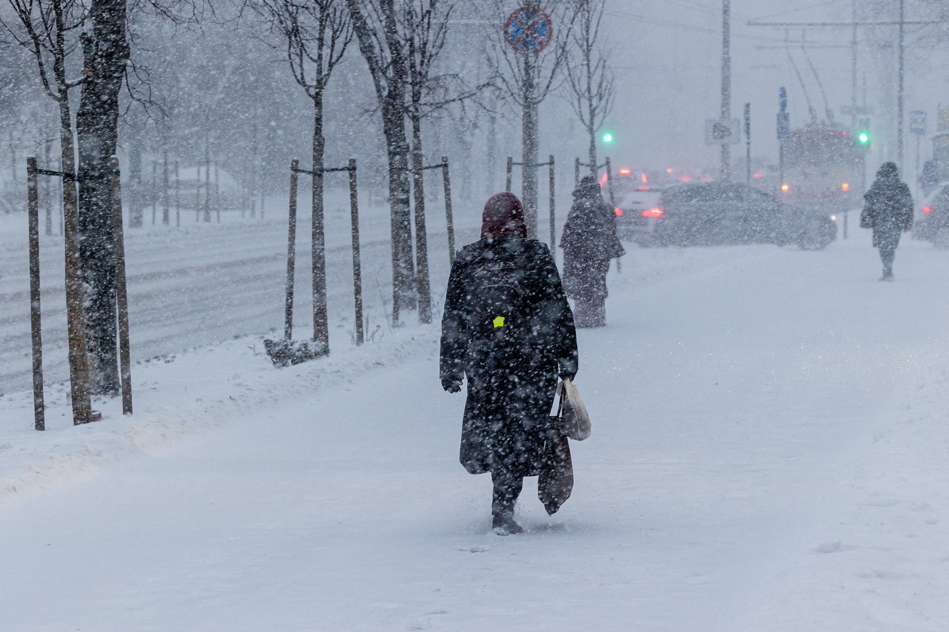 Gruodis atsisveikins trankiai: žadama pūga