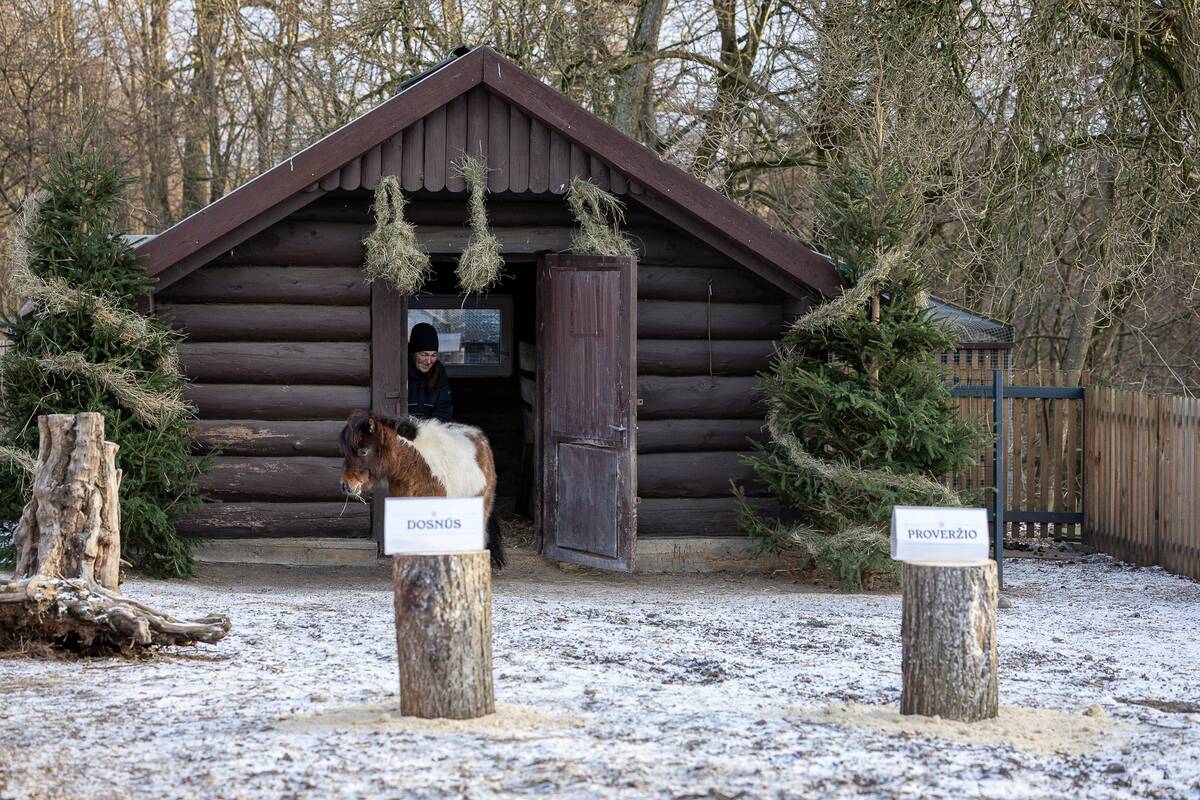 Lietuvos zoologijos sode – žaisminga 2026 metų pranašystė