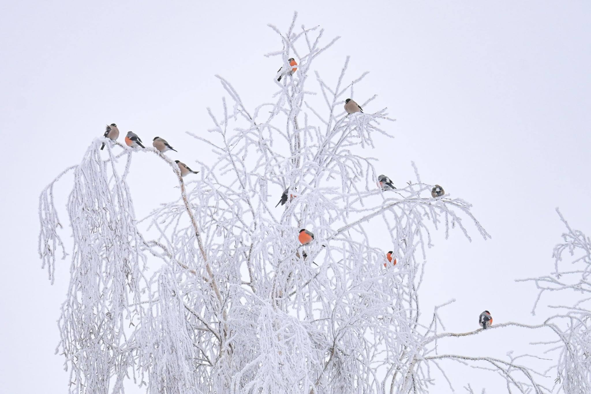 Sinoptikai: susilaikykite nuo nebūtinų kelionių