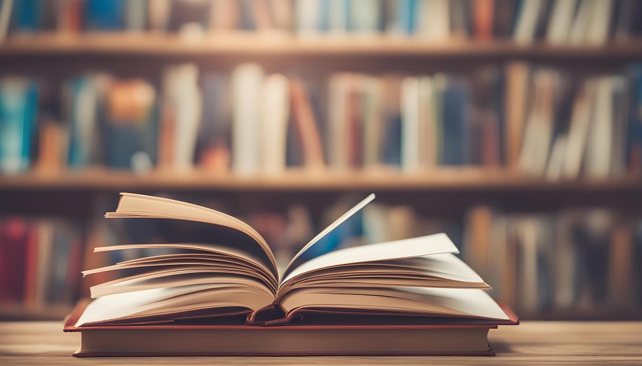 V. Nissinen „Įžvalgioji lyderystė“ – teorija ir praktika esamiems ir ...