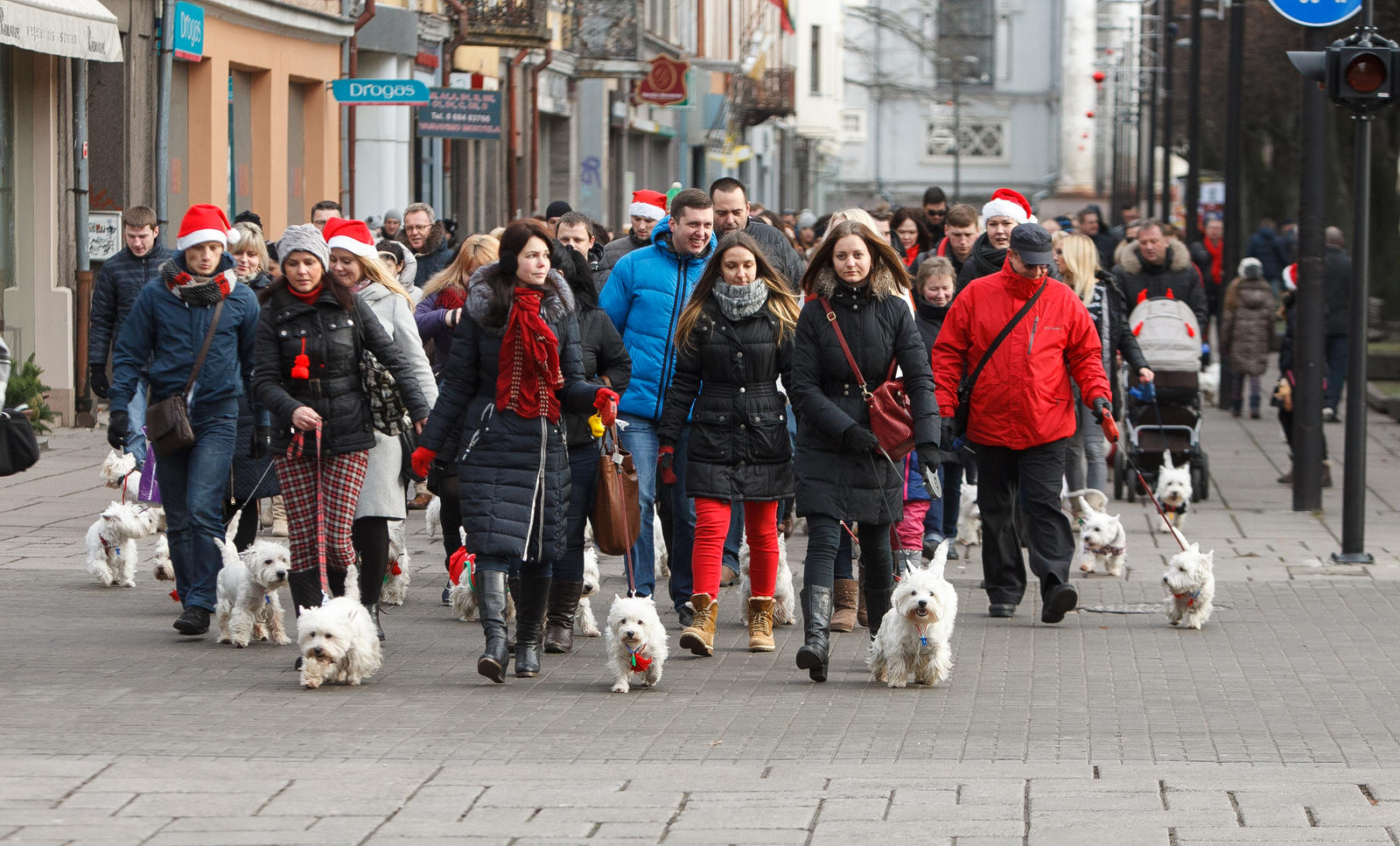Laisvės alėja žygiavo vestukai